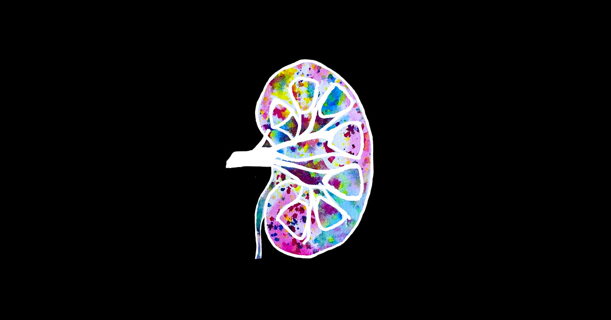 Watercolor Funfetti Kidney (Dark Pattern) - Funfetti - Sticker | TeePublic