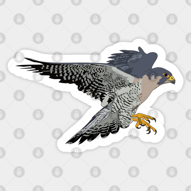 Flying Falcon - Falcon - Sticker | TeePublic