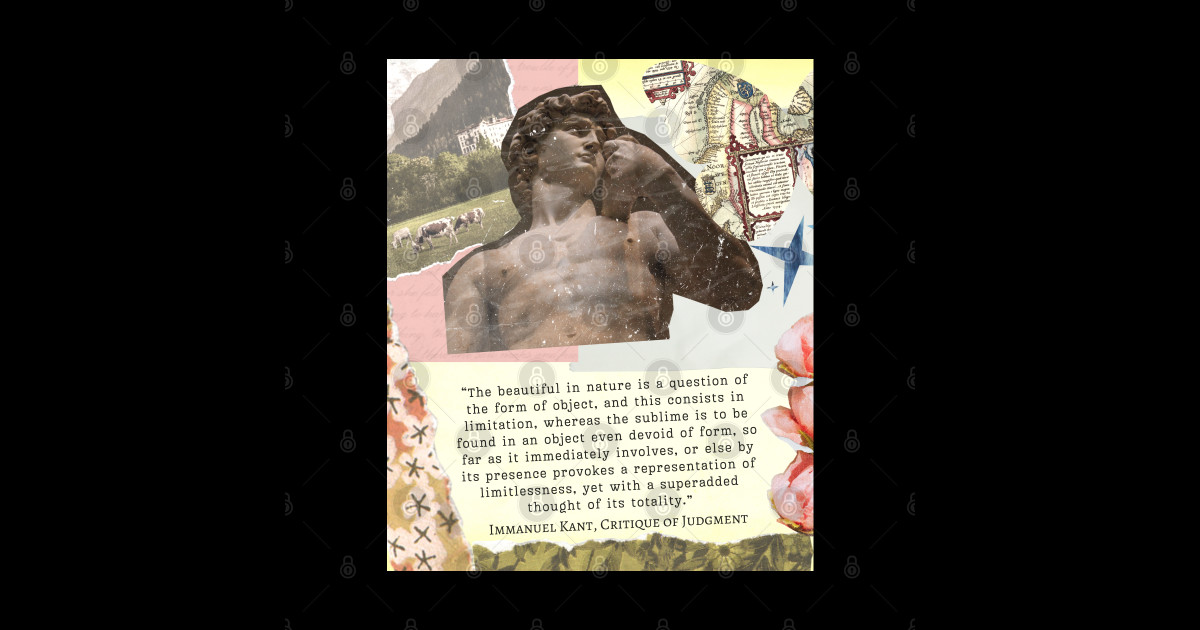 Immanuel Kant quote: The beautiful in nature is a question of the form ...