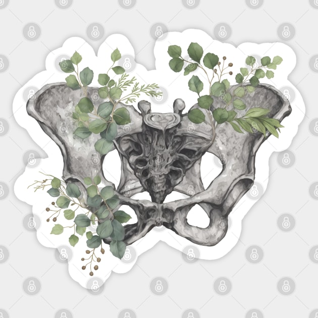 Eucaliptus leaves anatomy female pelvis, floral, feminism, anatomy ...