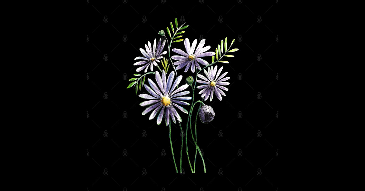 Purple Aster Flowers Watercolor Painting - Aster Flowers - Sticker ...
