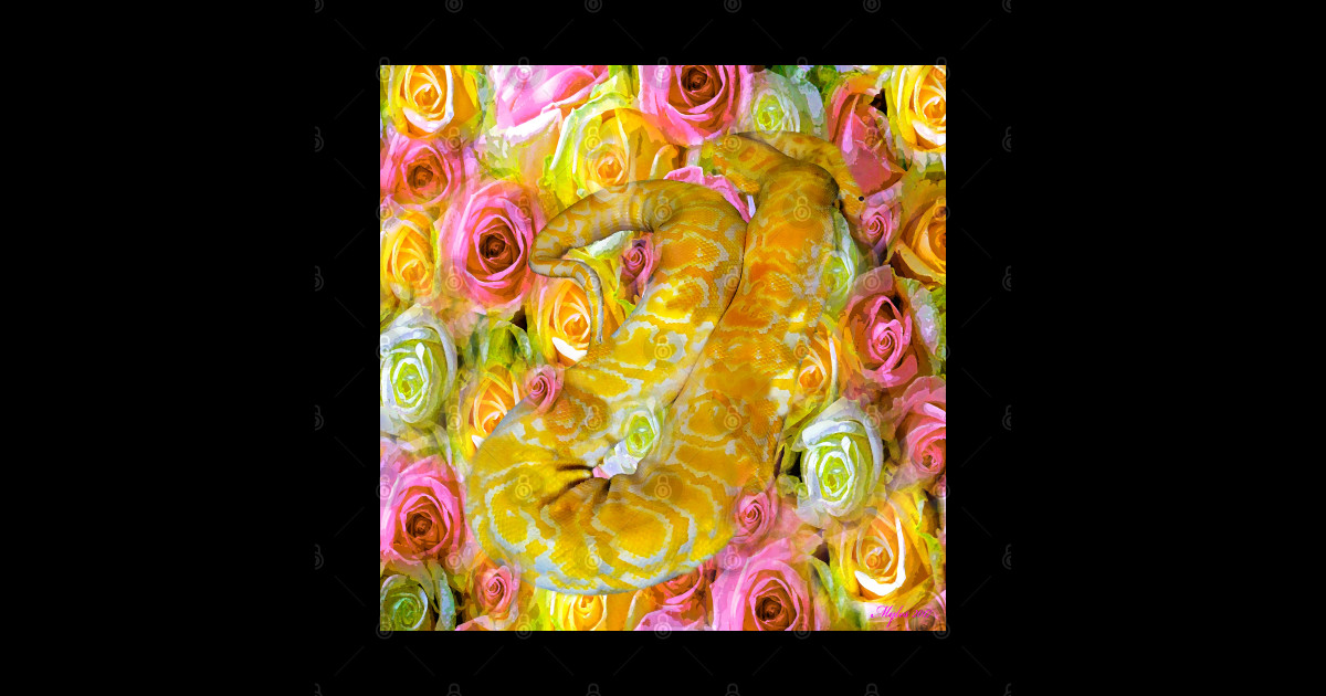 PYTHON ROSES AND DANGER Python Sticker TeePublic