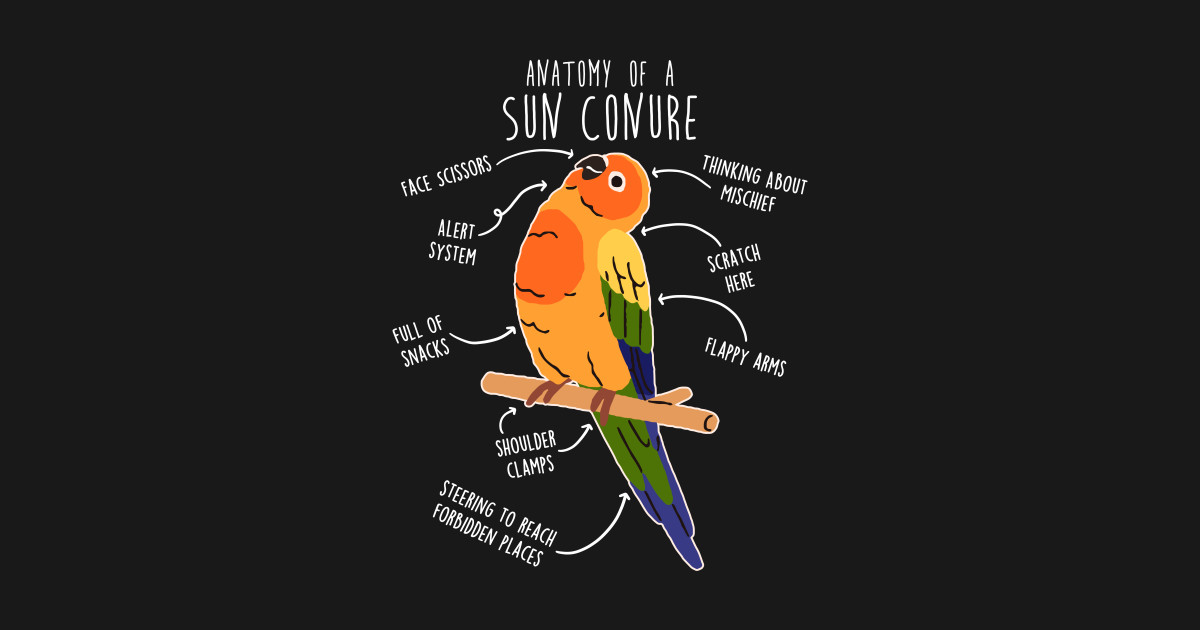 Sun Conure Parrot Anatomy - Conure - T-Shirt | TeePublic