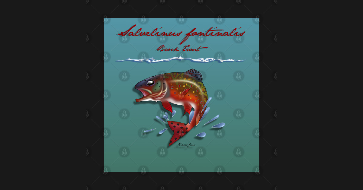 Salvelinus Fontinalis - Fly Fishing - T-Shirt | TeePublic