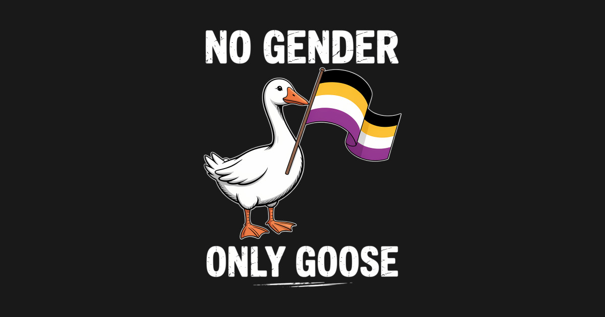 Nobinary No Gender Only Goose Enby Pride Flag LGBT Women Men - Nobinary ...