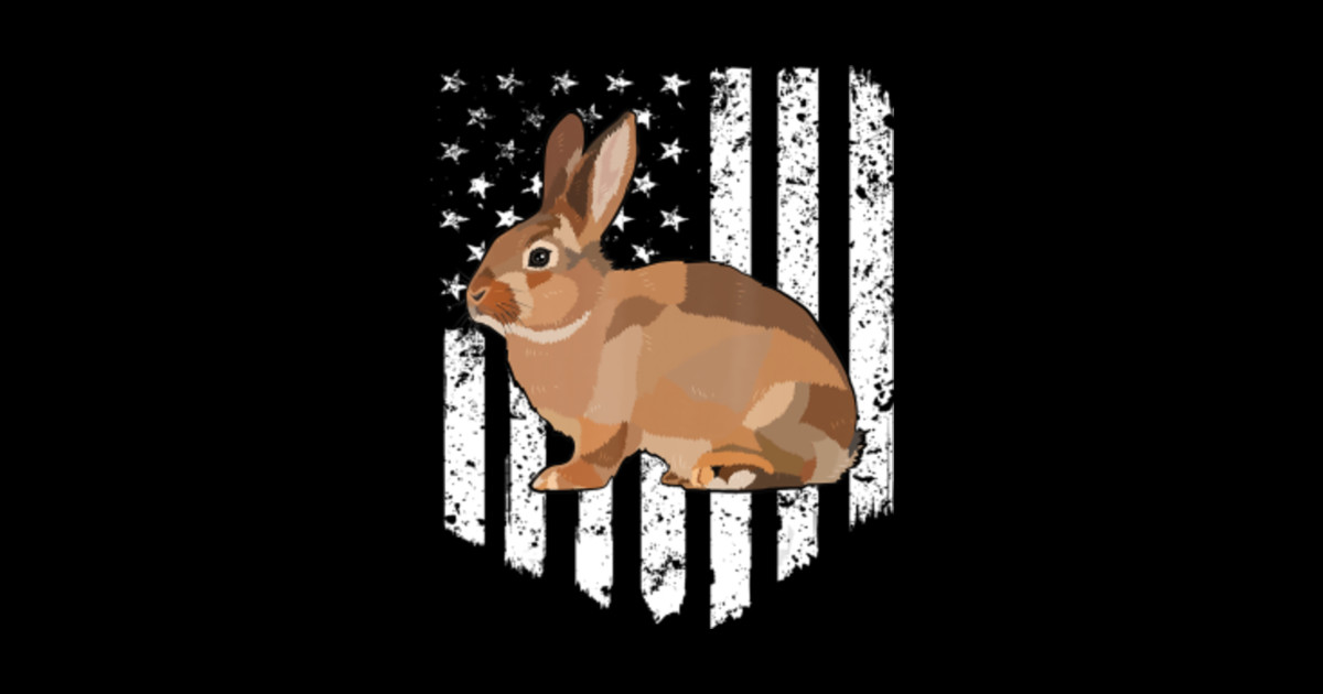 White American Flag Rabbit 4th Of July Farm Animal - 4th Of July ...