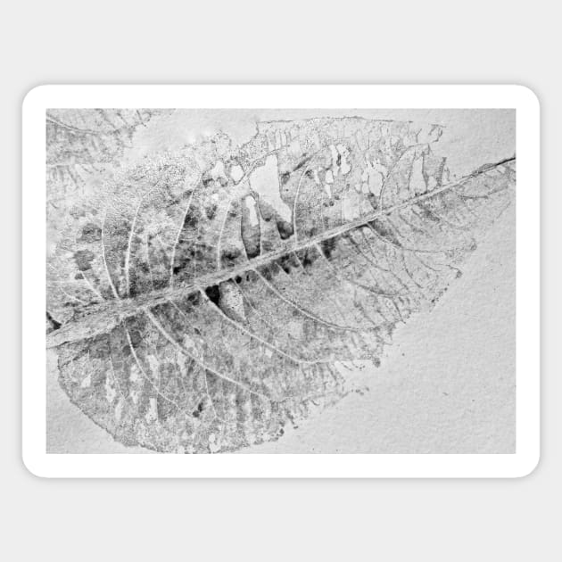 Fragility of Nature - Skeleton Leaf - Sticker | TeePublic