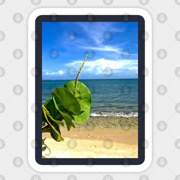 Ocean View - Beach - Sticker | TeePublic
