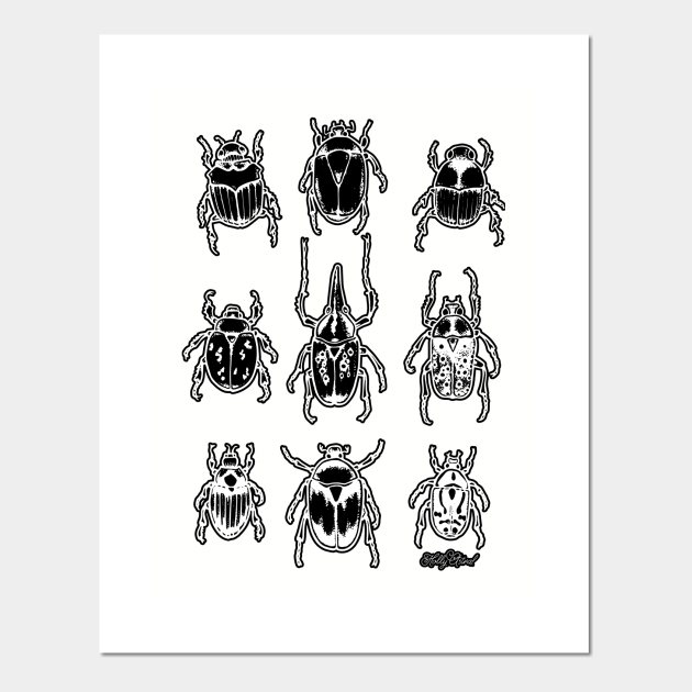 Beetles - Bugs - Posters and Art Prints | TeePublic