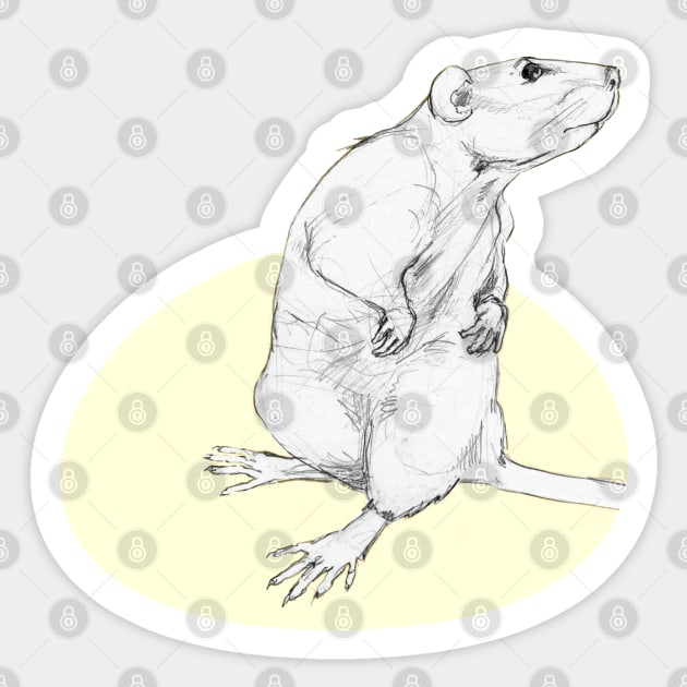 A cute rat - pencil drawing - Rat - Sticker | TeePublic