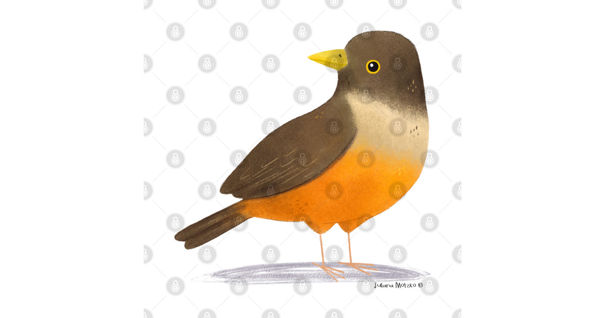 Rufous Bellied Thrush bird - Rufous Bellied Thrush - T-Shirt | TeePublic