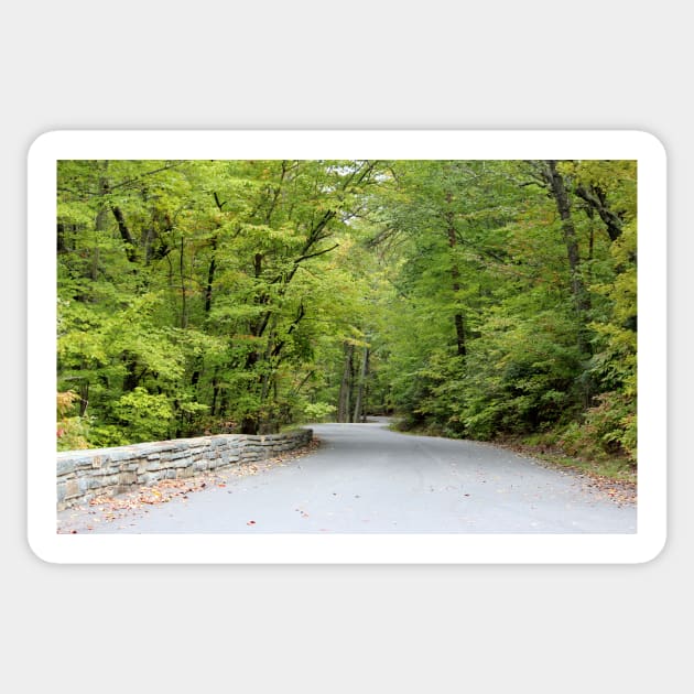 Winding Road - Road - Sticker | TeePublic