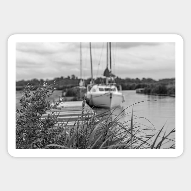 Boat mooring on the Norfolk Broads - Foliage - Sticker | TeePublic
