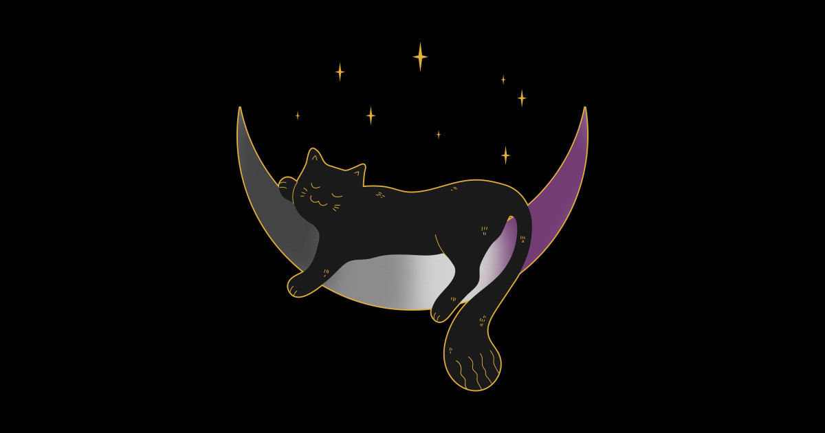 Asexual Cat Moon Space LGBT Pride Flag - Asexual - Sticker | TeePublic