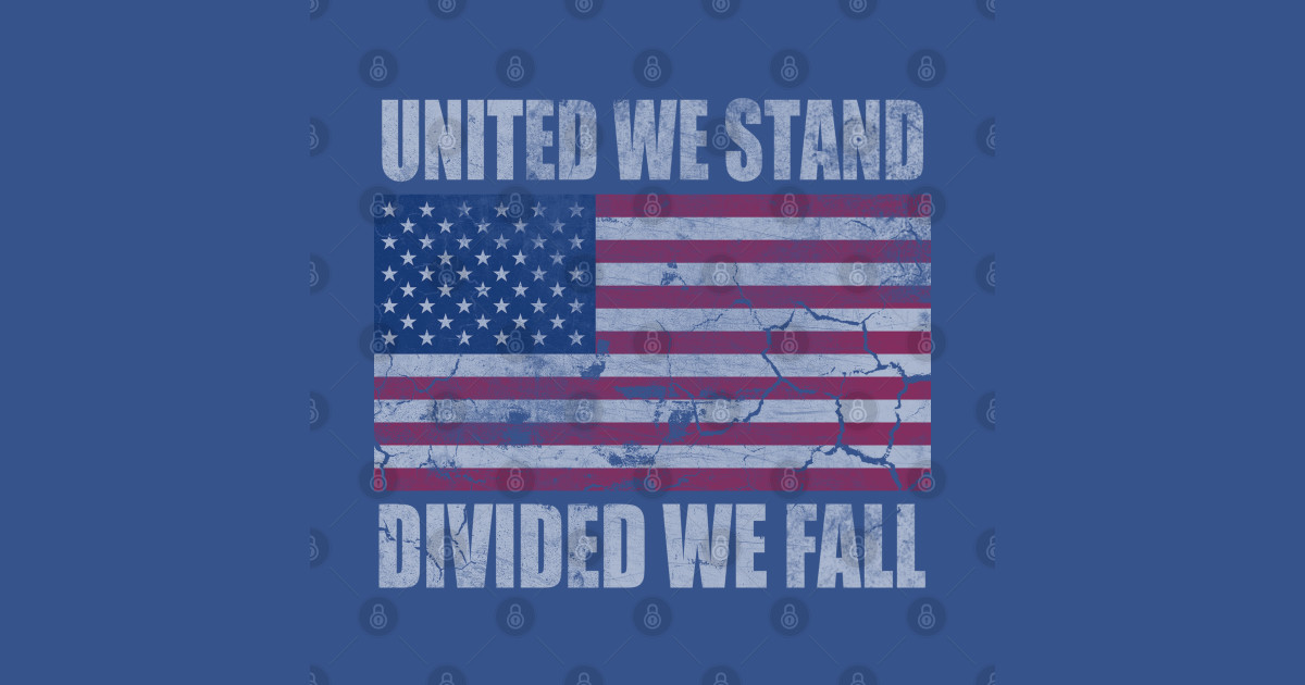 America United We Stand Divided We Fall - America - T-Shirt | TeePublic