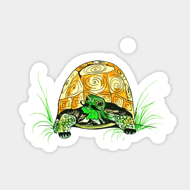 Cheeky turtle with moustache - Turtle - Sticker | TeePublic