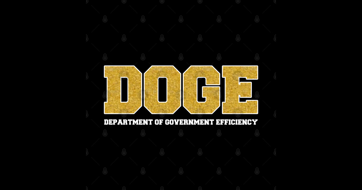 Doge-Department-OF-Govt-Efficiency - Doge Department Of Govt Efficiency ...