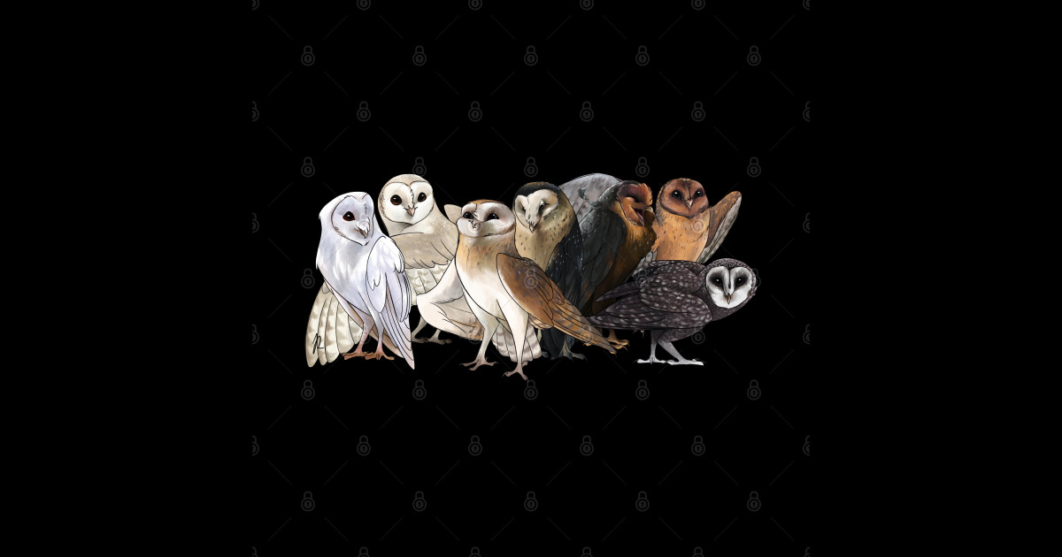 Barn Owl Spectrum - Barn Owl - Posters and Art Prints | TeePublic