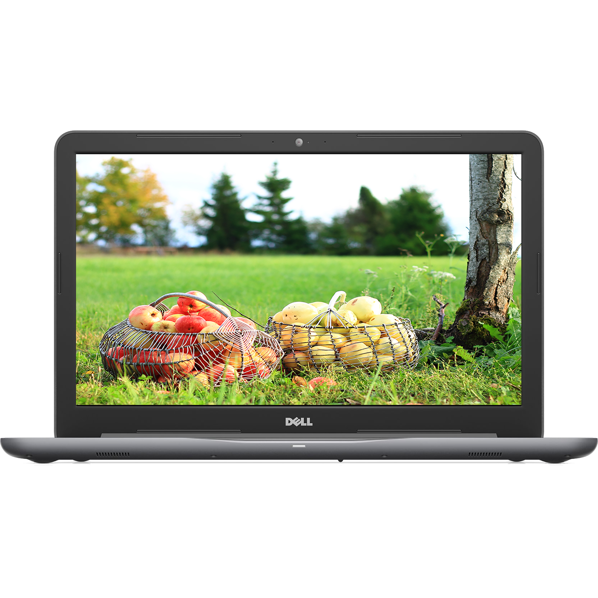 Dell Inspiron 5767