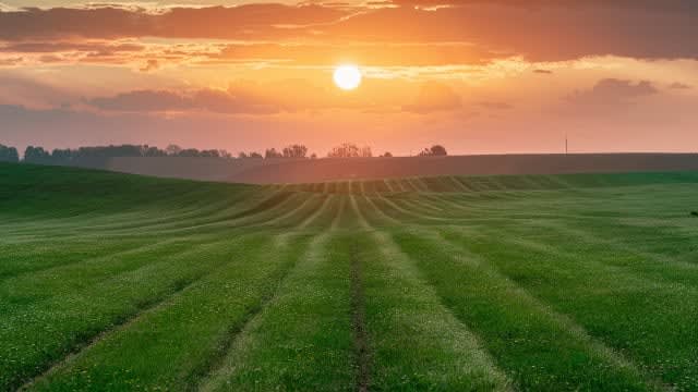 AGROGEN - AGROGEN SA DE CV - 57979322