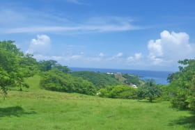 Grenada Land | Grenada Property | Grenada Real Estate • Terra Caribbean