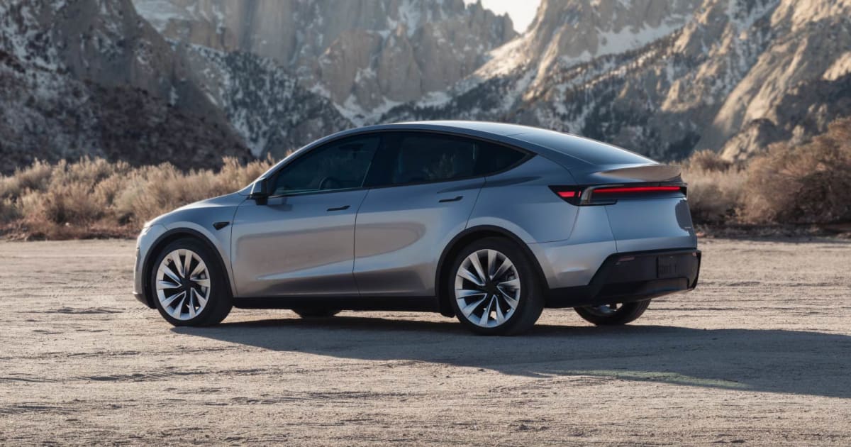 Experience The New Model Y With Your Cat | Tesla Events