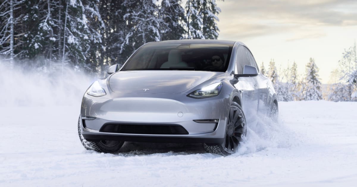 Experience Tesla at Stoneygate Farm | Tesla 이벤트
