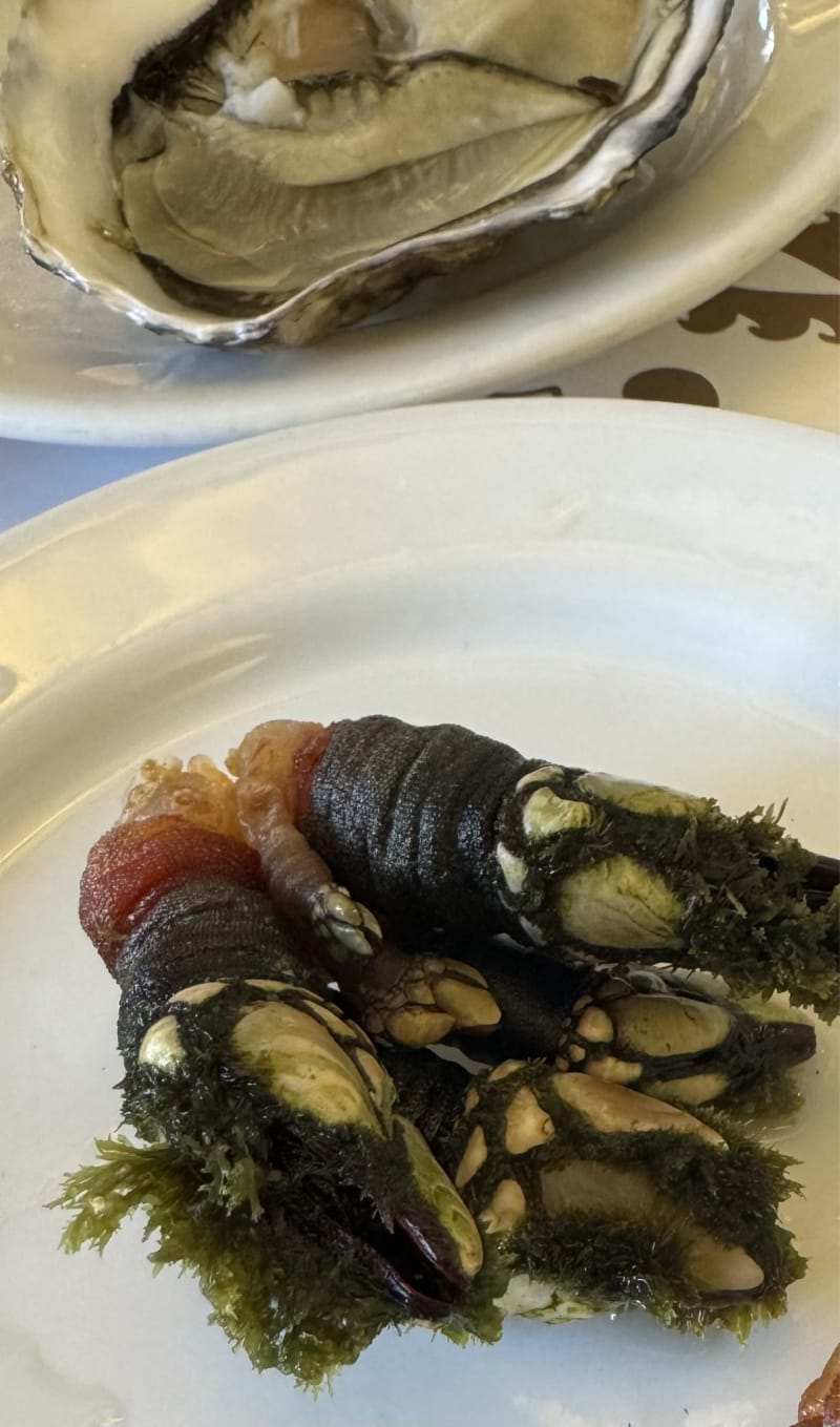 Cervejaria Ramiro in Lisbon - Restaurant Reviews, Menu and Prices | TheFork