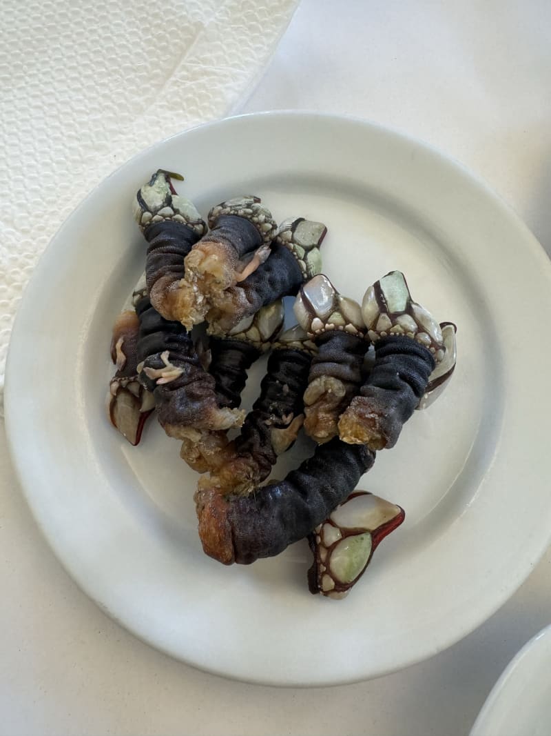 Cervejaria Ramiro in Lisbon - Restaurant Reviews, Menu and Prices | TheFork