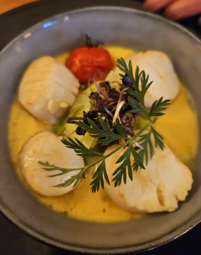 Le Bistronome in Strasbourg - Restaurant Reviews, Menu and Prices | TheFork