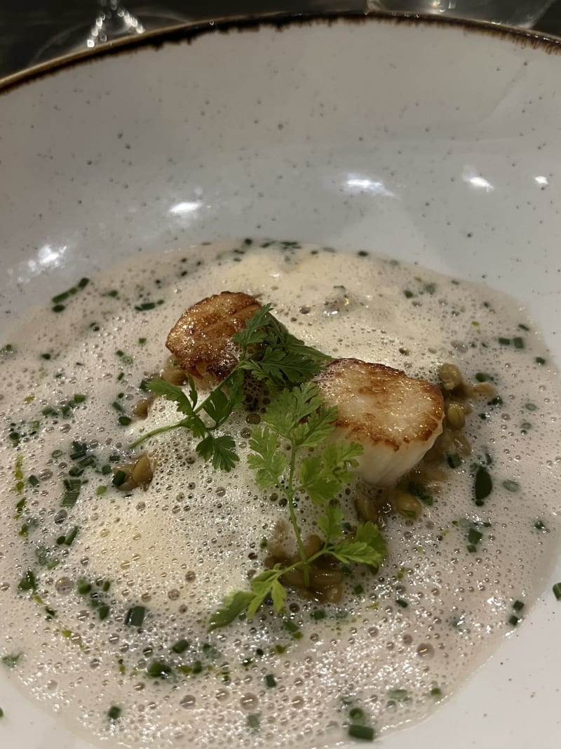 Sellae in Paris - Restaurant Reviews, Menu and Prices | TheFork