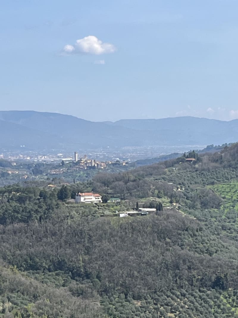 Platea in Montecatini Alto - Menu, openingstijden, prijzen, adres van ...