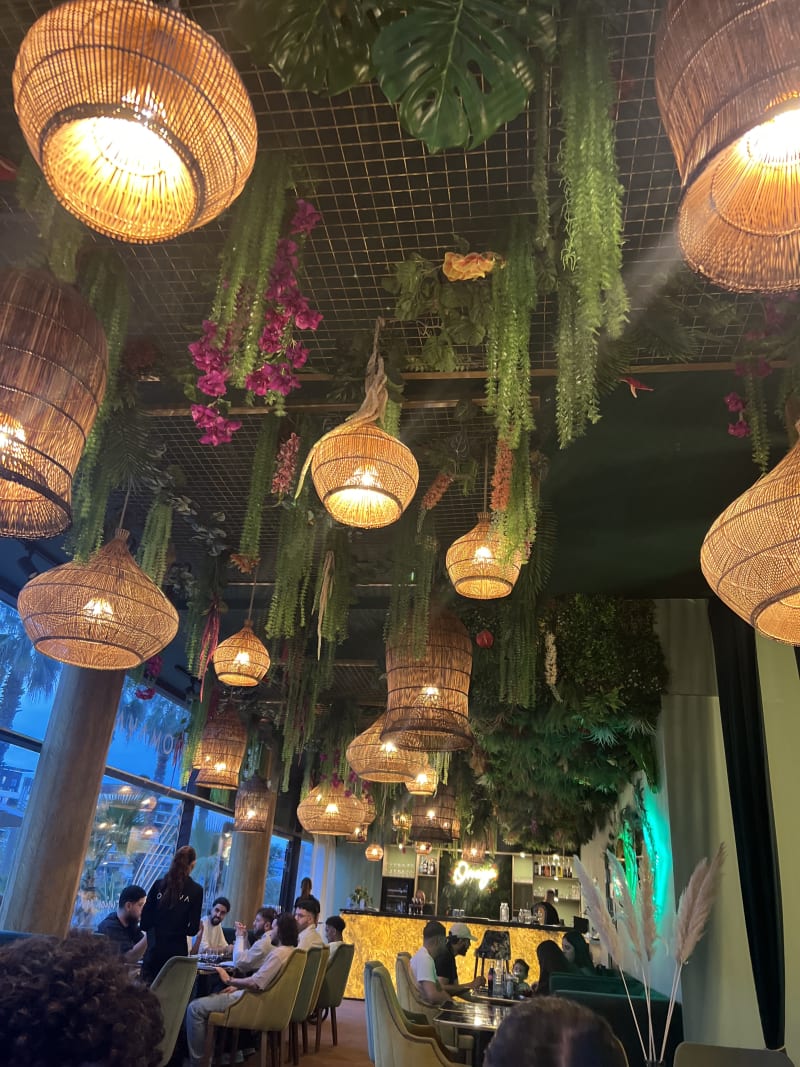 Omaya in Montpellier - Restaurant Reviews, Menu and Prices | TheFork