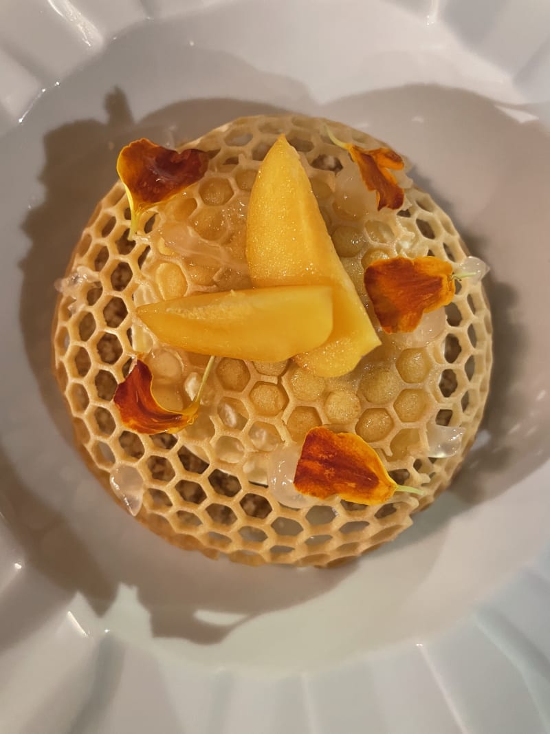 Bokan 37 Restaurant in London - Restaurant Reviews, Menu and Prices ...