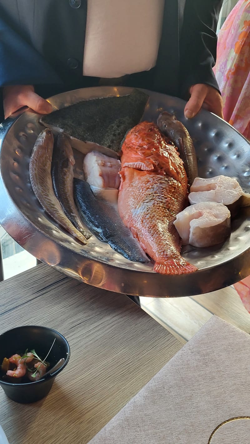 Chez Fonfon in Marseille - Restaurant Reviews, Menu and Prices | TheFork