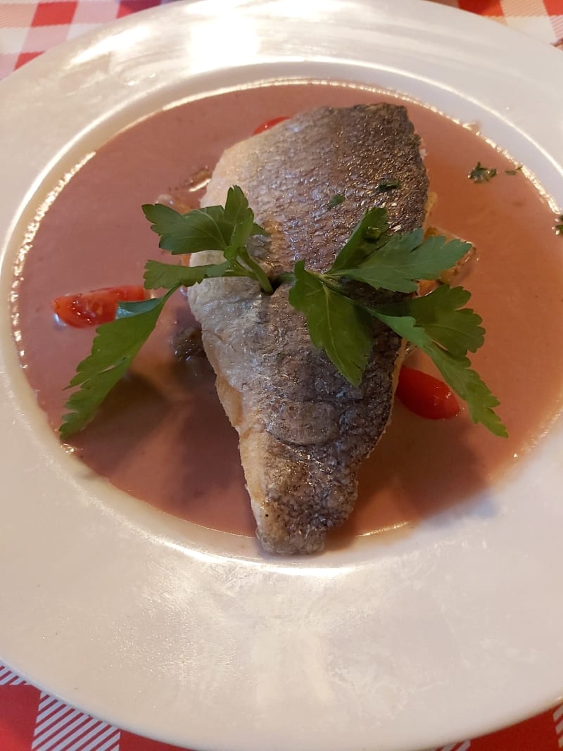 Le Socrate in Geneva - Restaurant Reviews, Menus, and Prices | TheFork