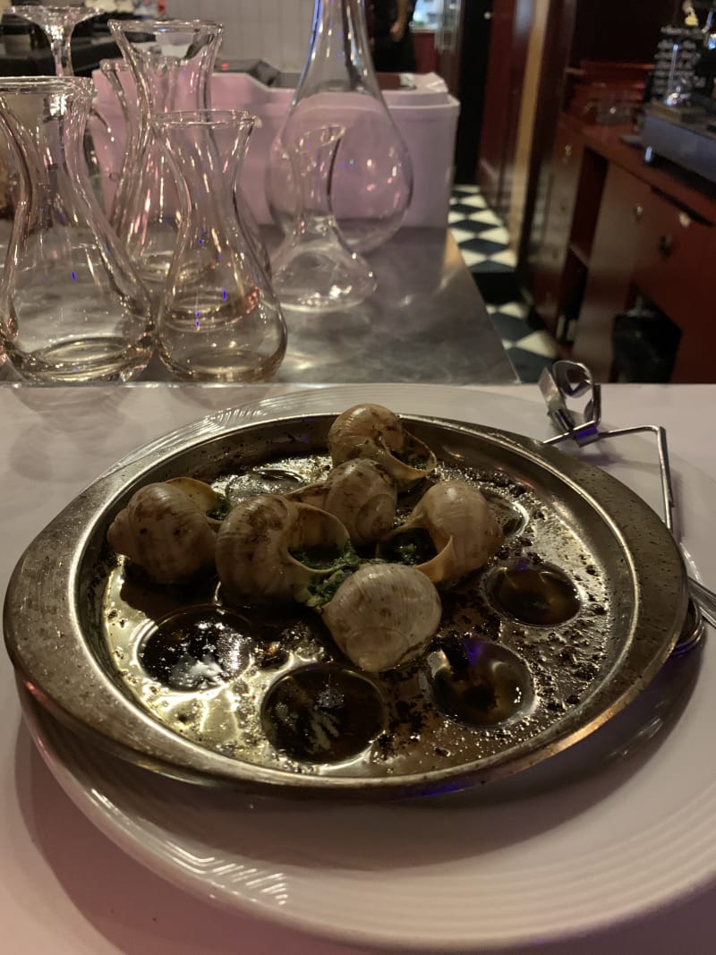 Le Socrate à Genève - Menu, avis, prix et réservation | TheFork