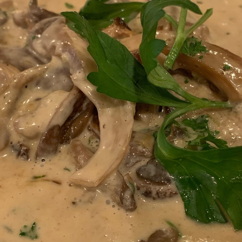 Restaurant Le Socrate à Genève - Menu, avis, prix et réservation | TheFork