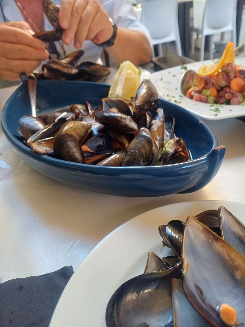 Trattoria Da Salvatore in Trapani - Restaurant Reviews, Menu and Prices ...