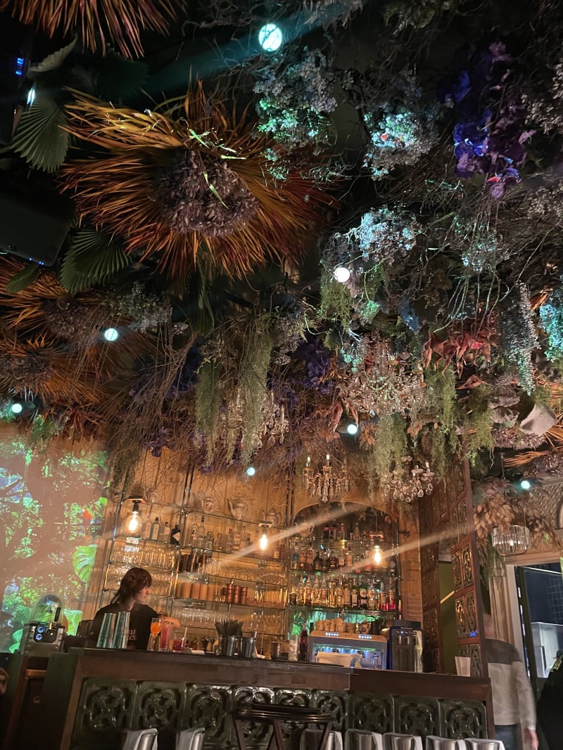 Jungle Palace Restaurant - Ephemera à Paris - Menu, avis, prix et ...