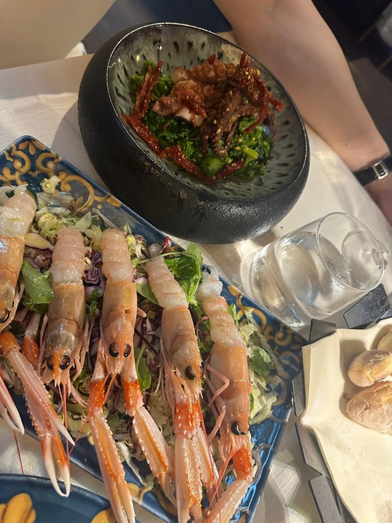 Opera a Bari - Menu, prezzi, immagini, recensioni e indirizzo del ...