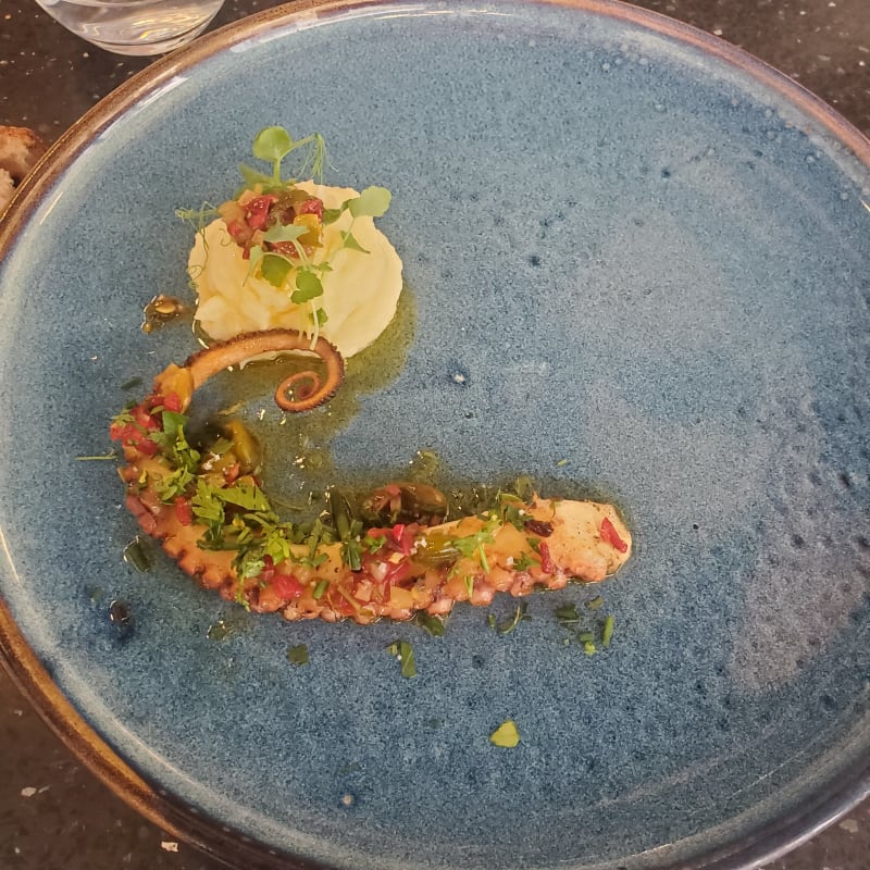 Restaurant Modjo à Bordeaux - Menu, avis, prix et réservation | TheFork