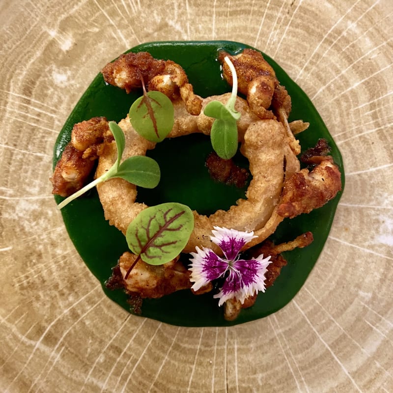 Restaurant Modjo à Bordeaux - Menu, avis, prix et réservation | TheFork