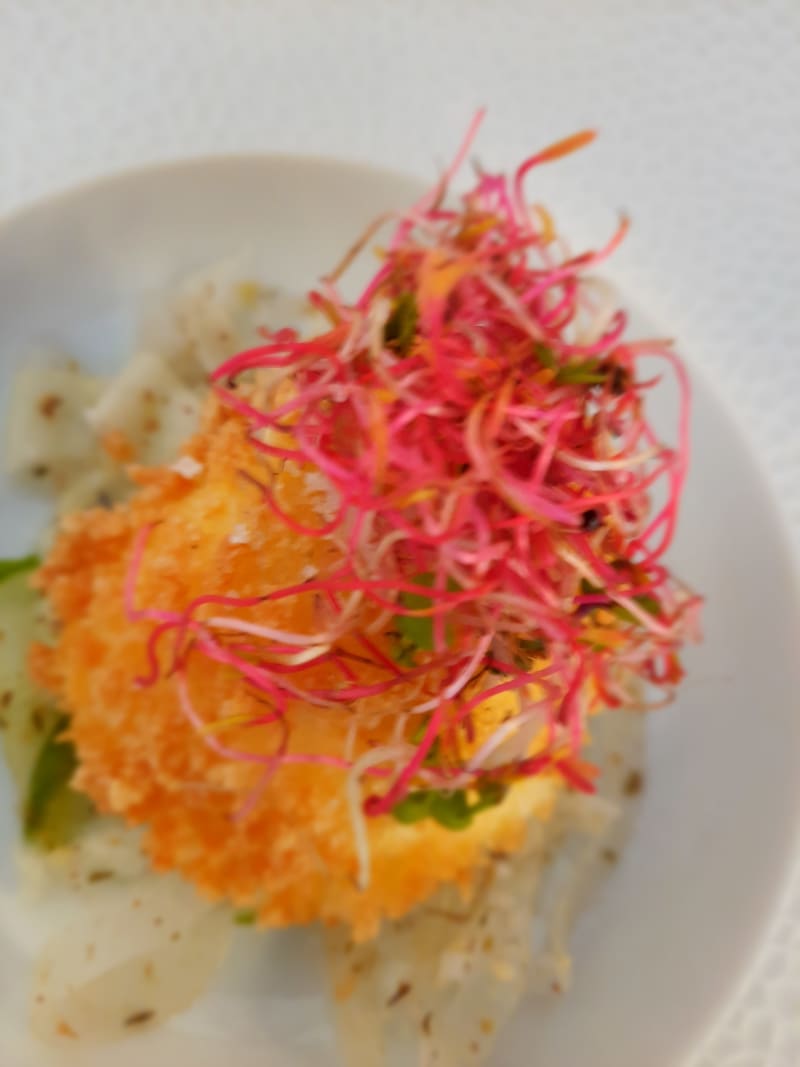 Modjo in Bordeaux - Restaurant Reviews, Menu and Prices | TheFork