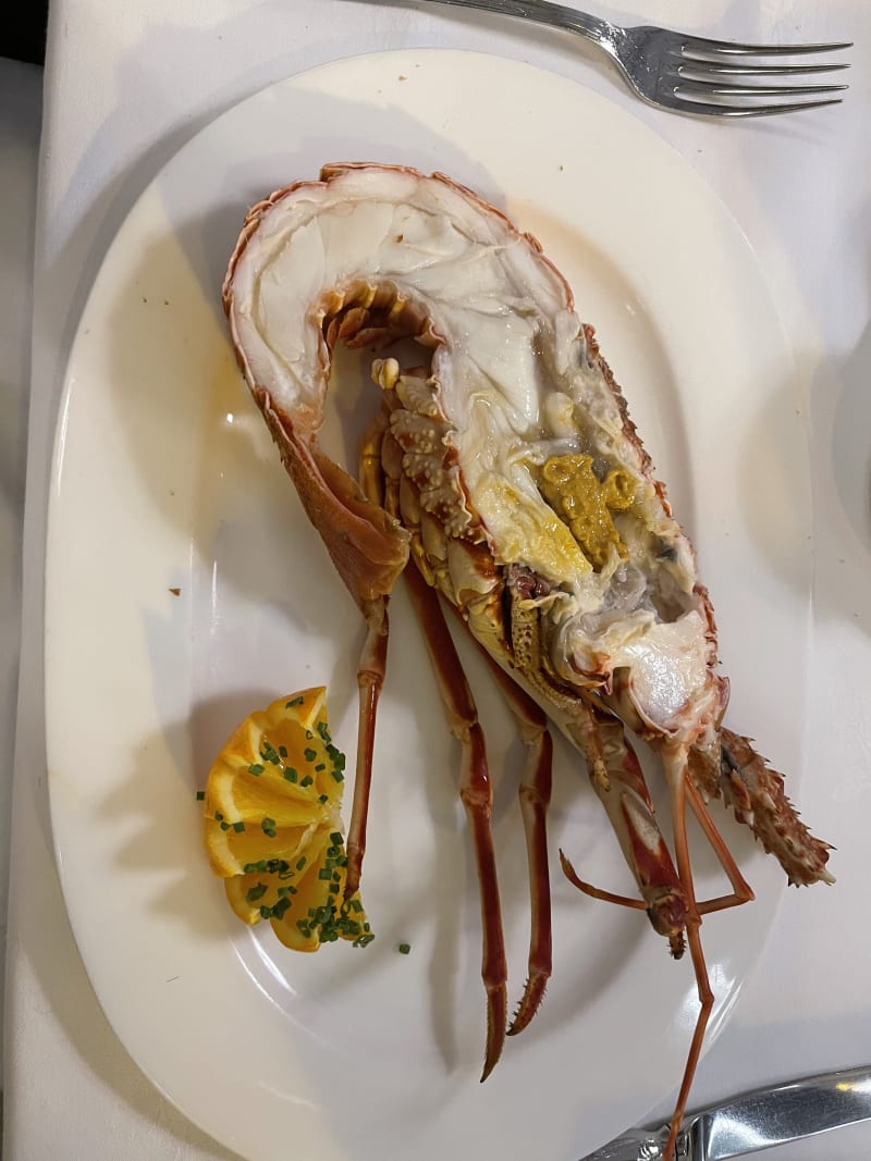 Restaurante Carta Marina en Madrid - Menú 2024, opiniones, precios y ...