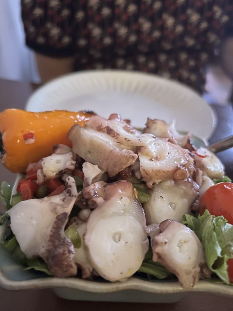 Raiz em Porto - Preços, menu, morada, reserva e avaliações do ...