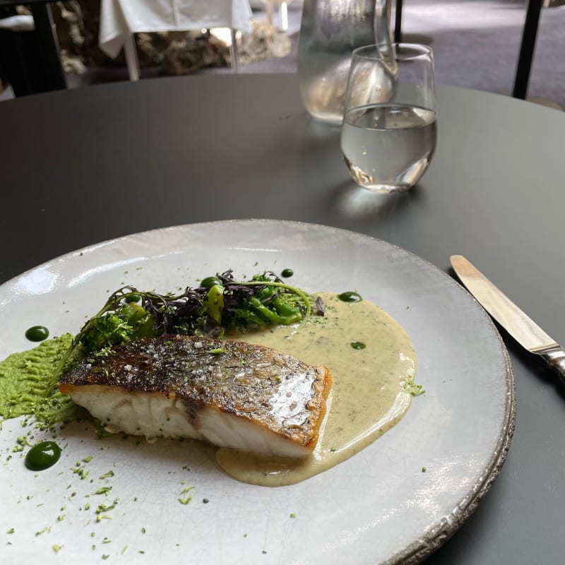 Le Chapon Fin in Bordeaux - Restaurant Reviews, Menu and Prices | TheFork