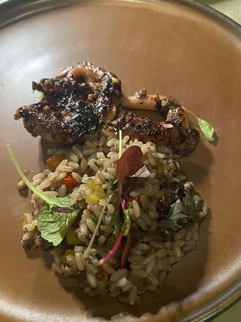 Erva Restaurante & Bar em Lisboa - Preços, menu, morada, reserva e ...