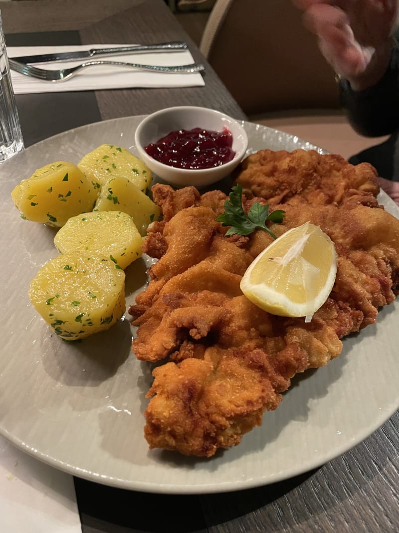 Servus Wien Hohenstaufengasse in Vienna - Restaurant Reviews, Menus ...