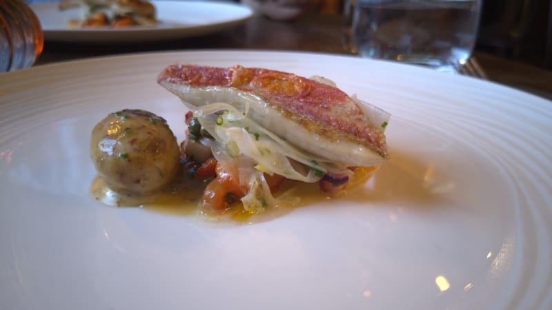 The Elder in Bath - Restaurant Reviews, Menus, and Prices | TheFork